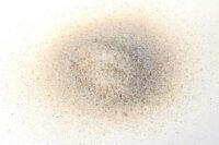 CLEAN BITE MEDIUM - Clean Bite Glass